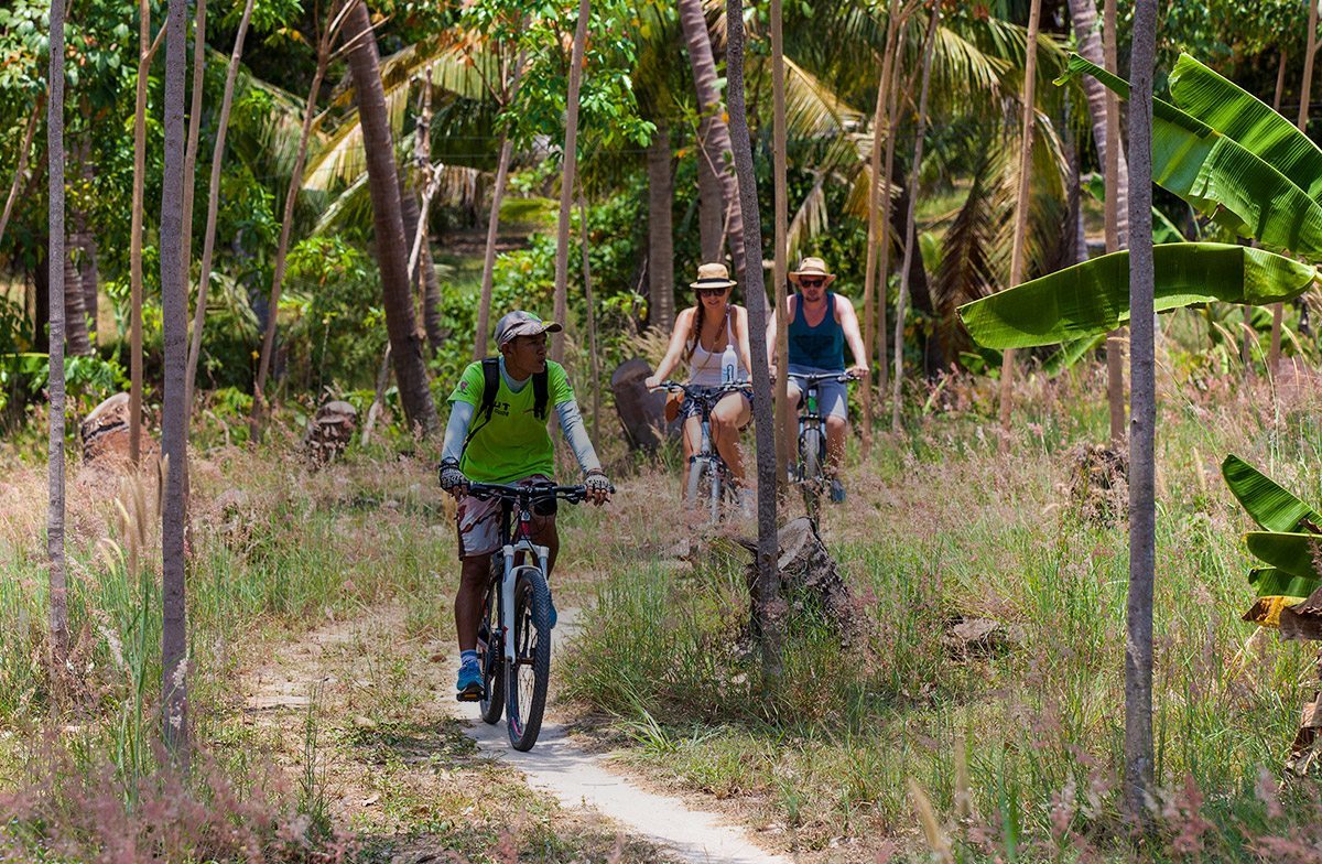 Phangan Cycle Tour • Hello Island